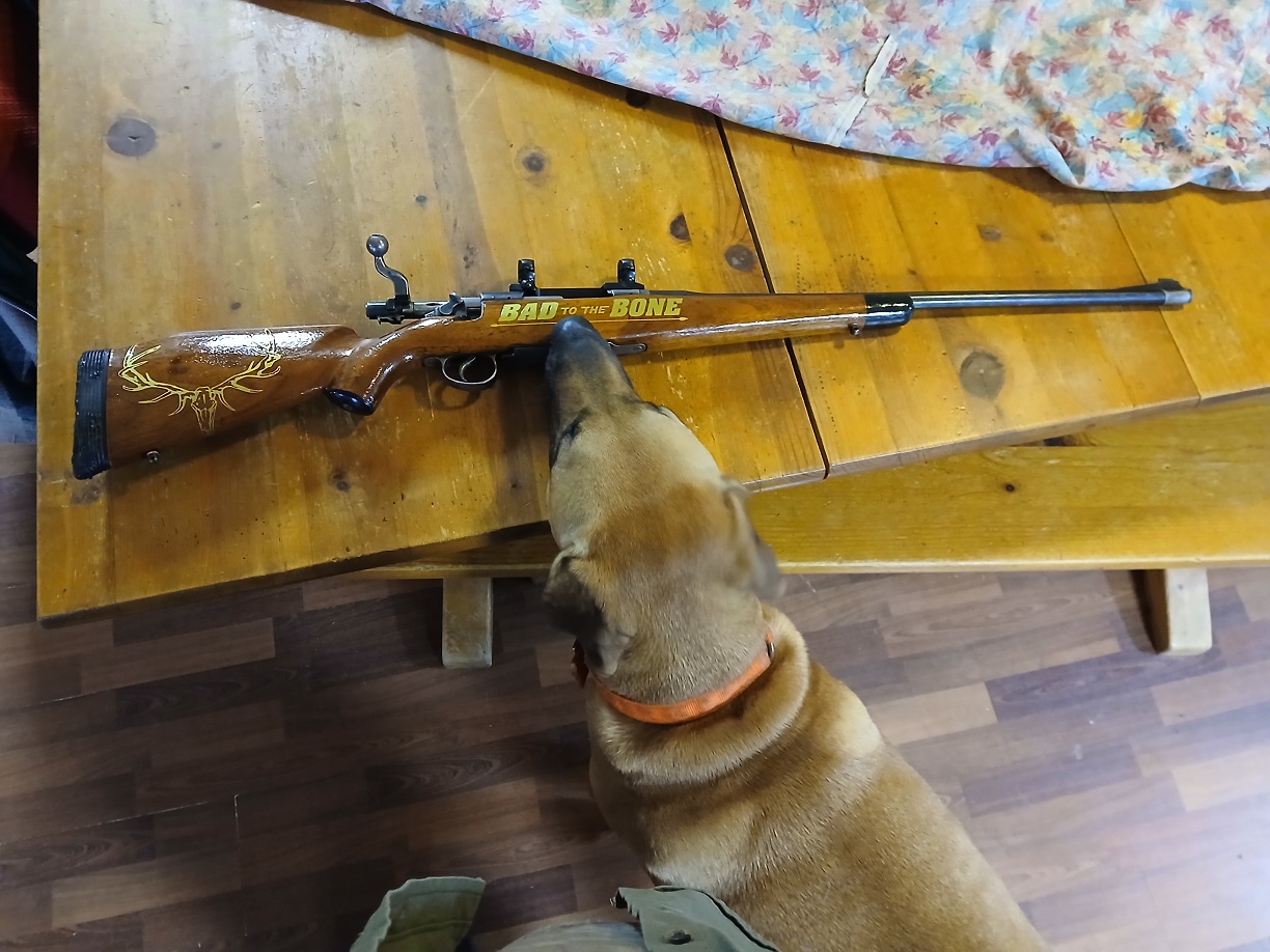 How about ugly guns you don't like | Single-Actions